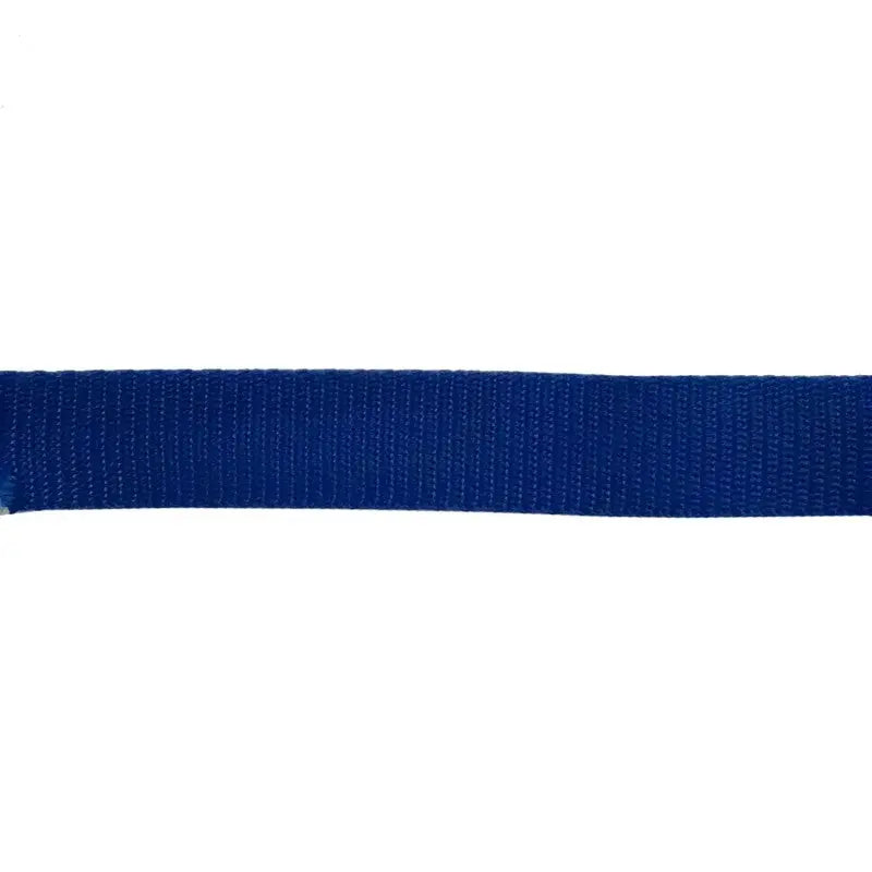 25mm Royal Blue Polypropylene Double Plain Weave Webbing | Wyedean
