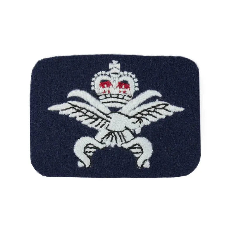 Genuine Physical Training Instructor (PTI) Qualification Badge RAF (RAF ...