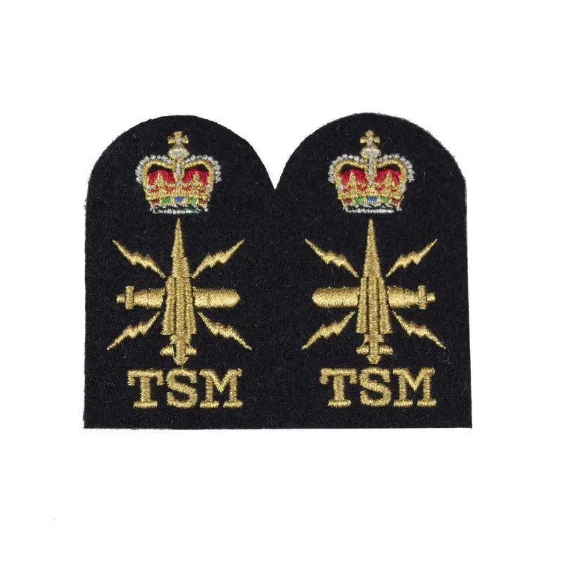 Genuine Warfare Submarine Tactical (TSM) Chief Petty Officer Royal Navy ...